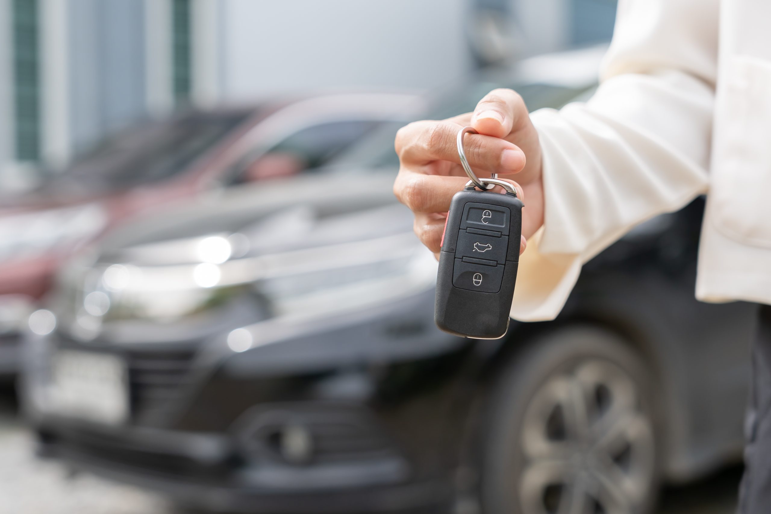 Rent a Car in Livno | Wild Horses & Split, Croatia Gateway | Yes.ba